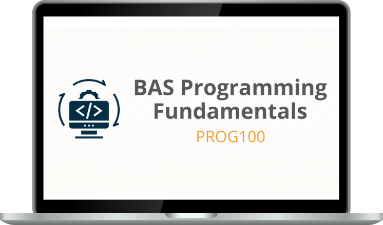 BAS Programming Fundamentals | SBA