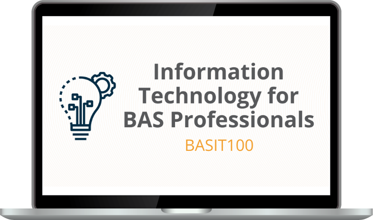 Information Technology for BAS Professionals | SBA